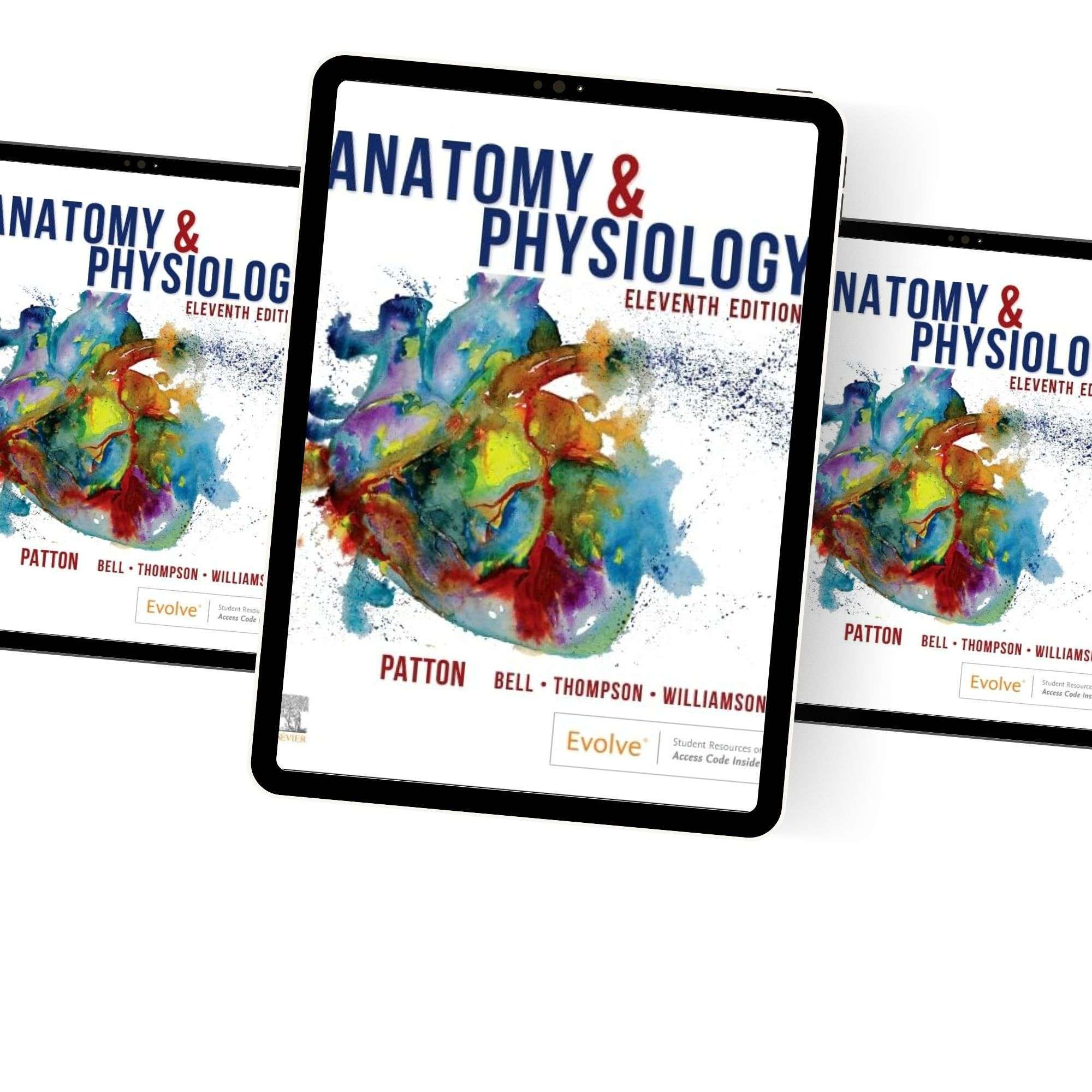 Anatomy and Physiology 11th Edition by Patton Test Bank – Gailik